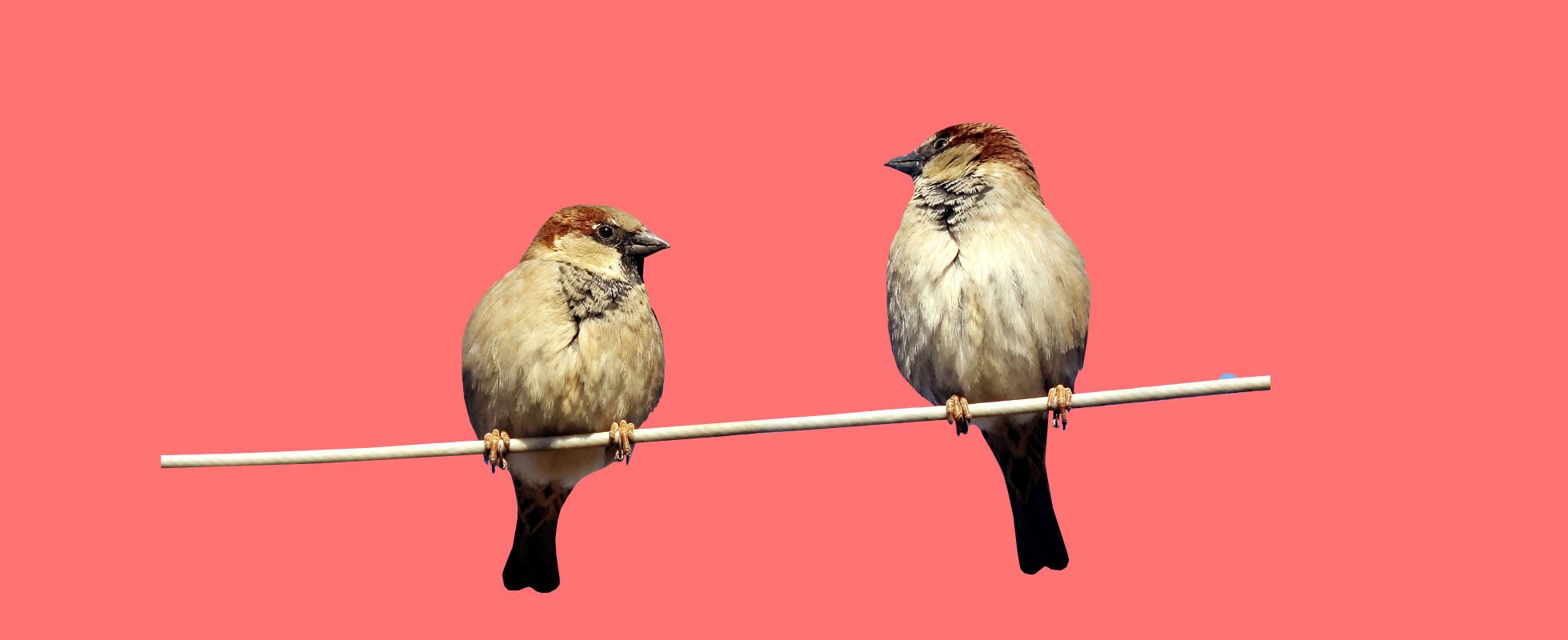 14 Quotes About Reconnecting With Loved Ones - Inspiring Quotes